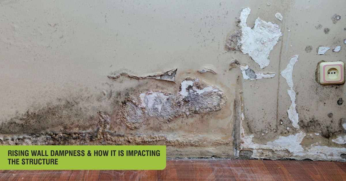 Rising Wall Dampness & How It Is Impacting the Structure